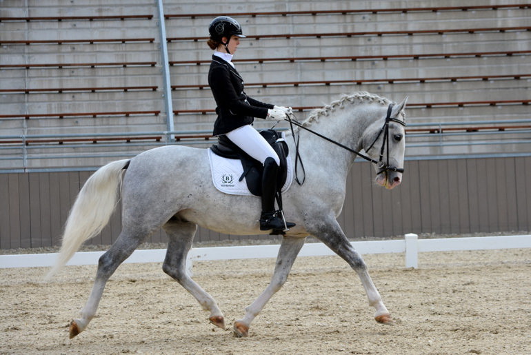 Kulturális örökséggé vált a lipicai lótenyésztés - EUROASTRA - az ...